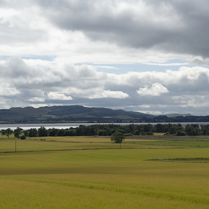 Contact dusal - Scottish manufacturers of duvets, pillows and mattress ...